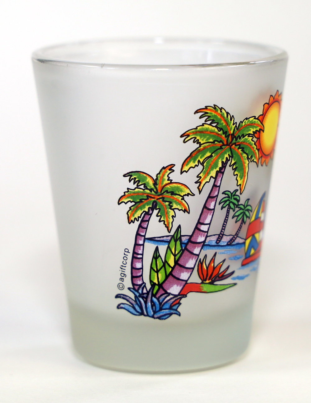 Caribbean Paradise Frosted Caribbean Shot Glass - World by Shotglass