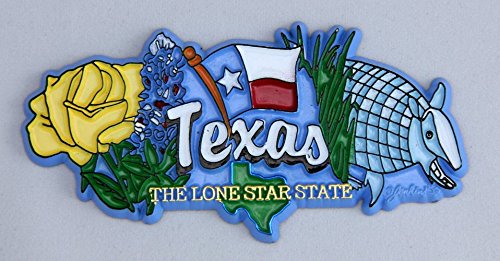 Texas State Elements Fridge Collectible Souvenir Magnet - World by ...