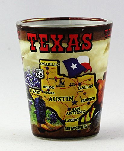 Texas State Collage Shot Glass