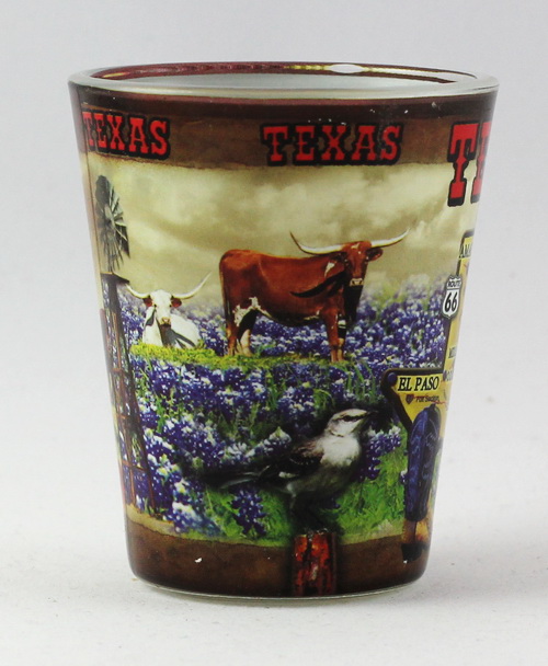 Texas State Collage Shot Glass rtp - World by Shotglass