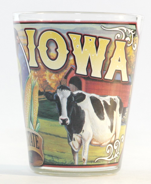 Iowa State Mural Shot Glass JKS - World by Shotglass