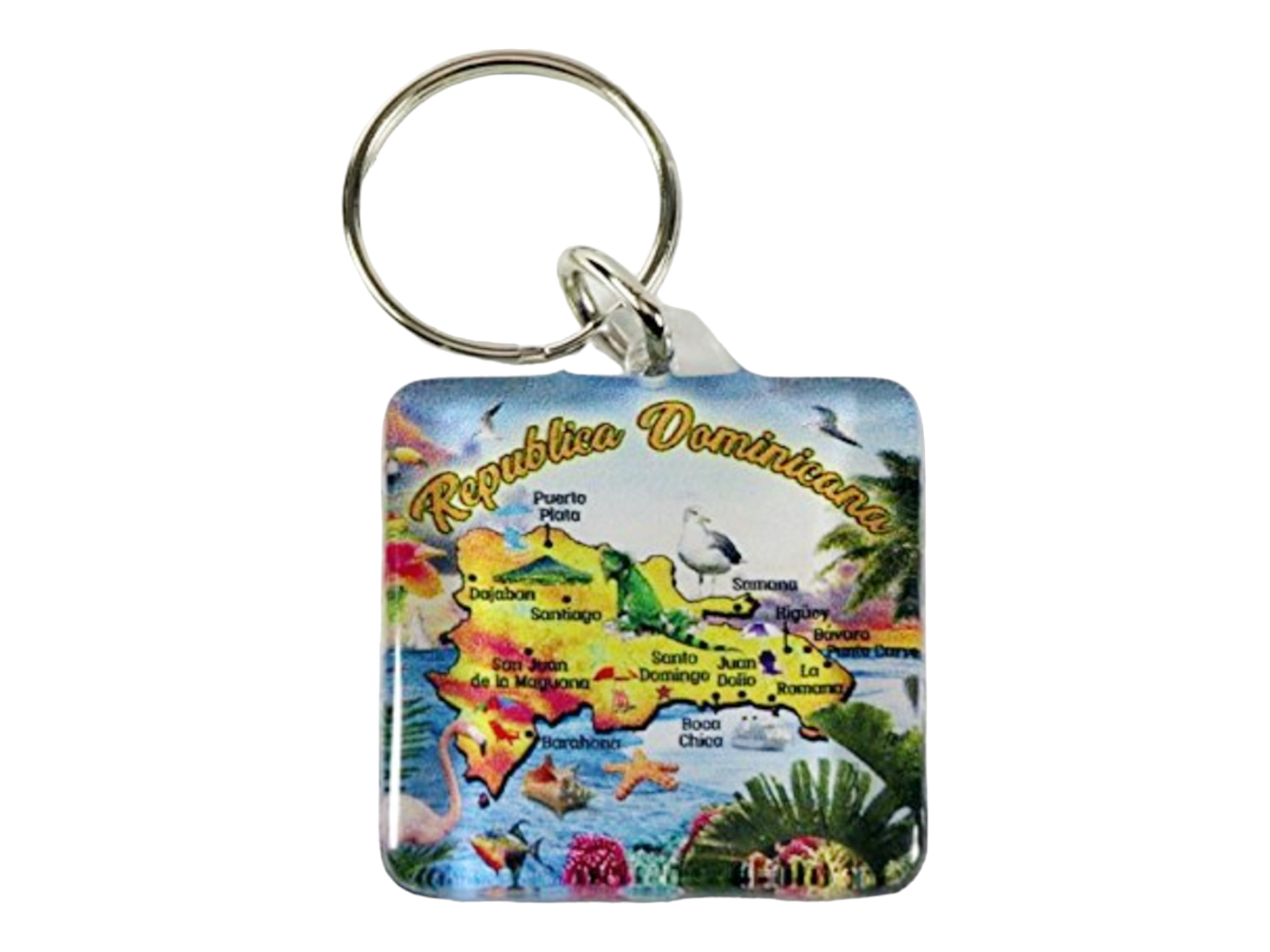 Dominican Republic Map Acrylic Square Souvenir Keychain
