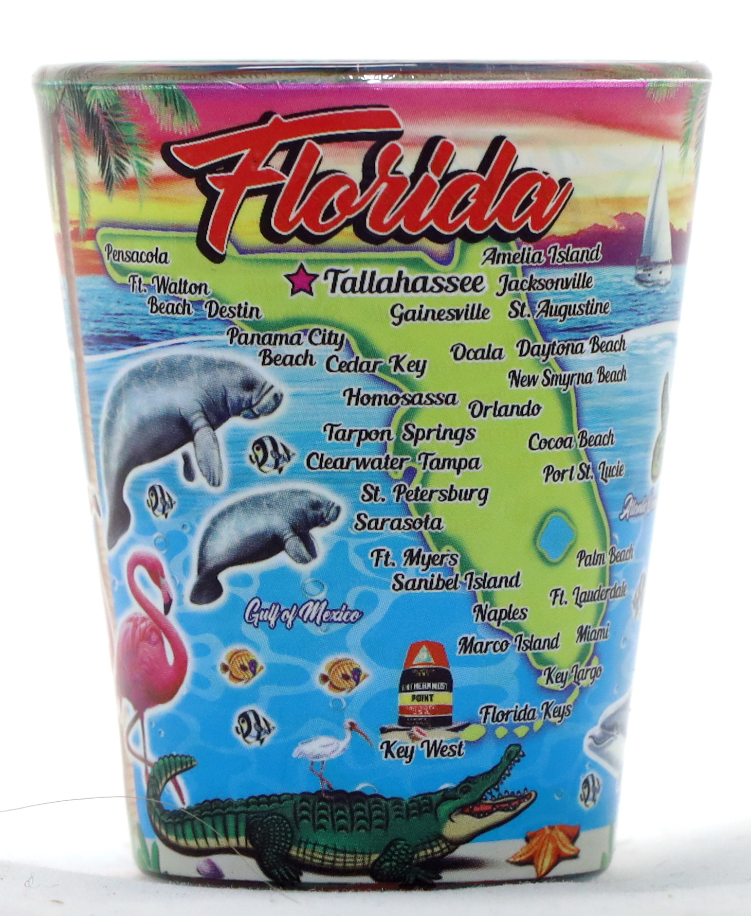 Florida Map In and Out Shot Glass