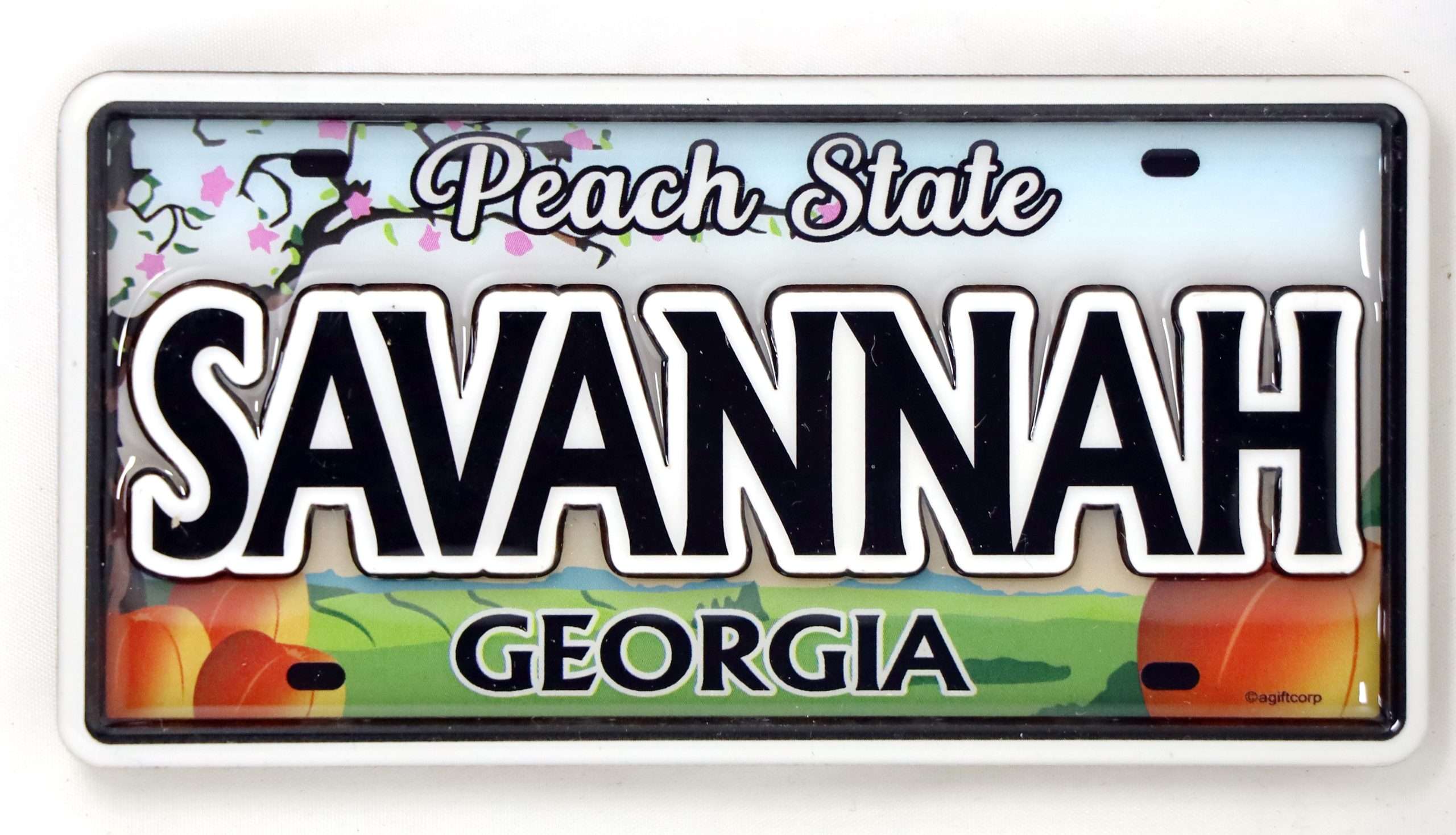 Savannah Georgia License Plate Dual